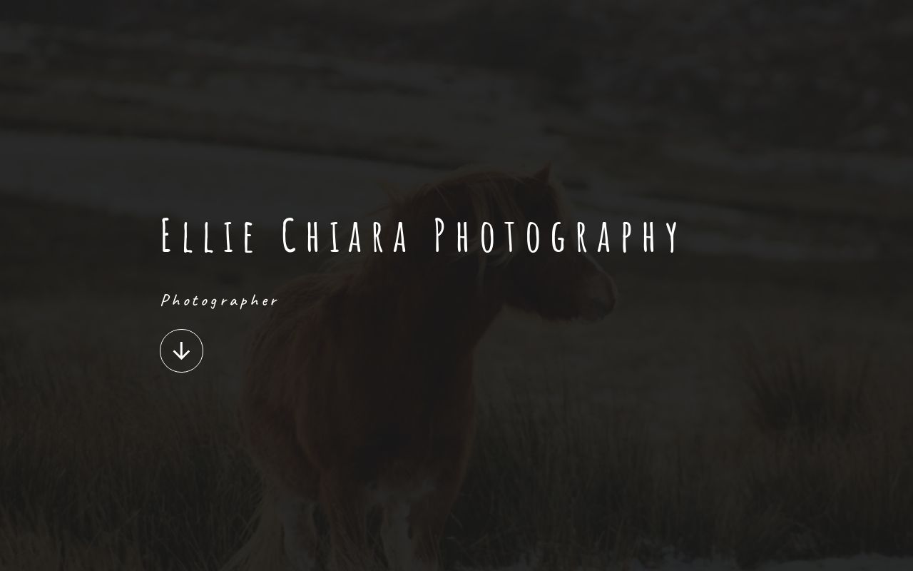 Ellie Chiara Photography